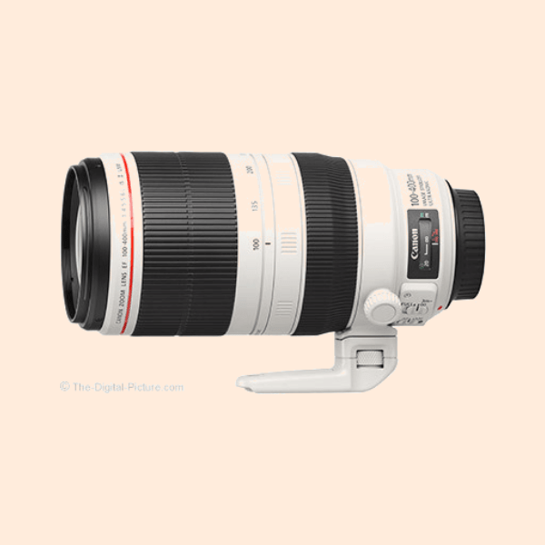 Canon 100-400 Tele Lens | Rent a super zoom lens | Delhi NCR